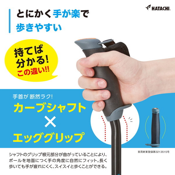 羽立工業 ハタチ グラウンドゴルフ WH1121 64 DFPプログレッシブズーム