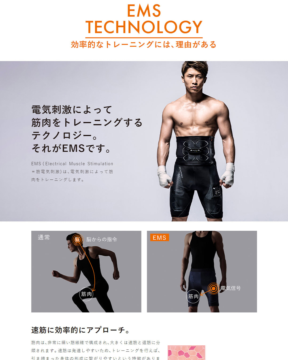 MTG SIXPAD Powersuit Lite Abs Mサイズ EMS運動器 + Powersuit Lite Controller for Abs 専用コントローラーセット SE ...